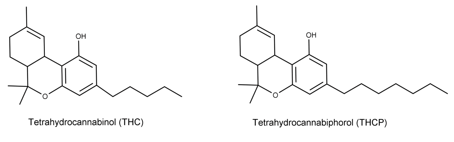 Thcp Vs Thc Effects And Potency Compared Kannastar Brands